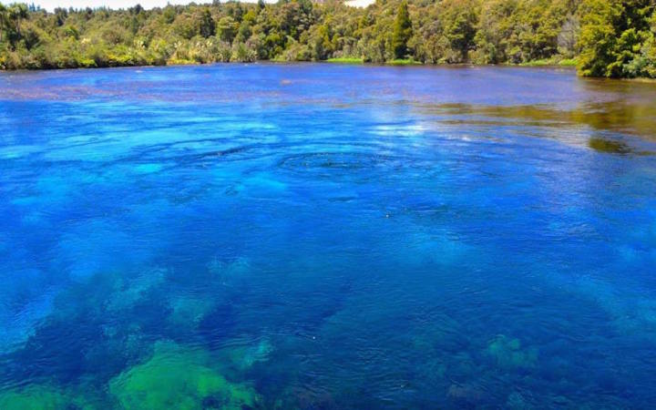 Pupu Springs - Te Waikoropupū Springs: Reinstes Wasser, schönste Farben ...