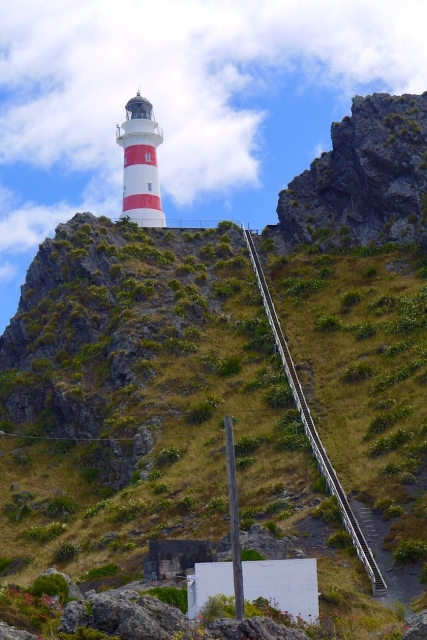 Cape Palliser - 253 Stufen zum Leuchtturm, größte Seebären Kolonie ...