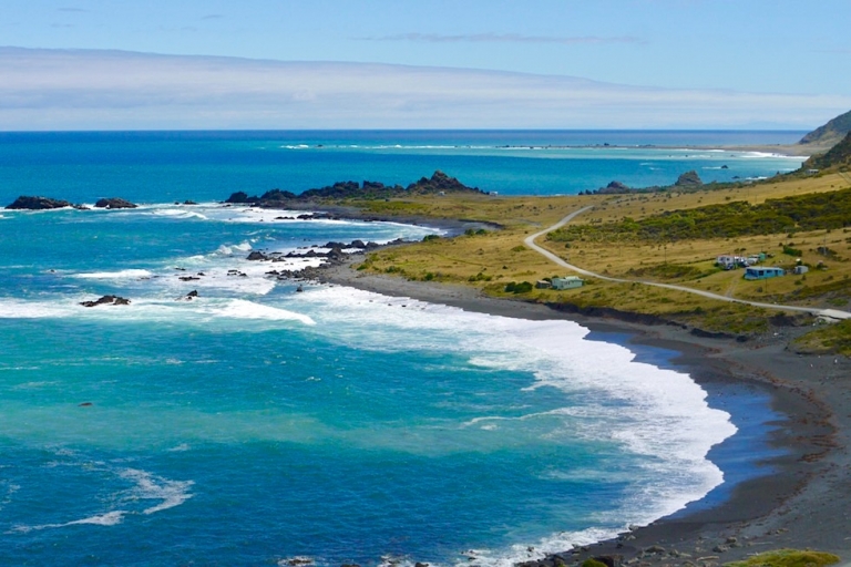 Cape Palliser - 253 Stufen zum Leuchtturm, größte Seebären Kolonie ...