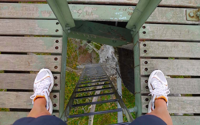 Pemberton Climbing Trees: Feuerwehrbäume, Adrenalin & gigantische Karri ...