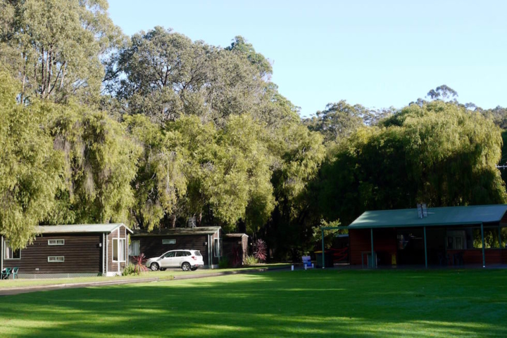 Pemberton Climbing Trees: Feuerwehrbäume, Adrenalin & gigantische Karri ...