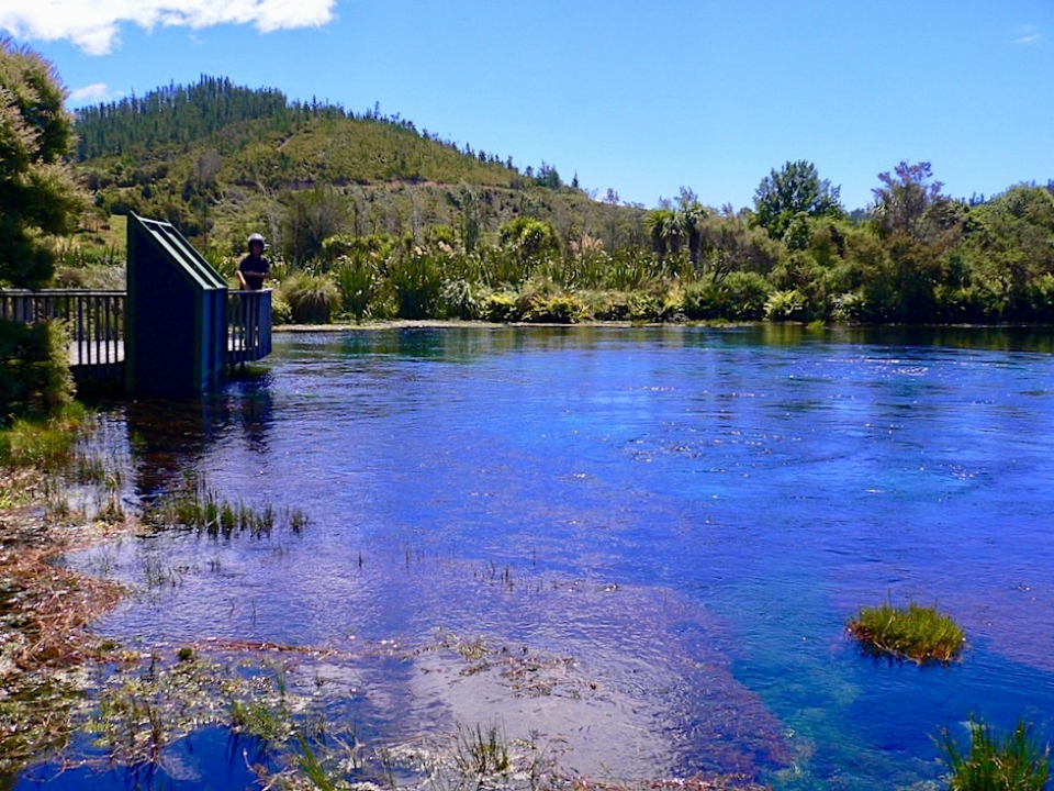 Pupu Springs - Te Waikoropupū Springs: Reinstes Wasser, schönste Farben ...