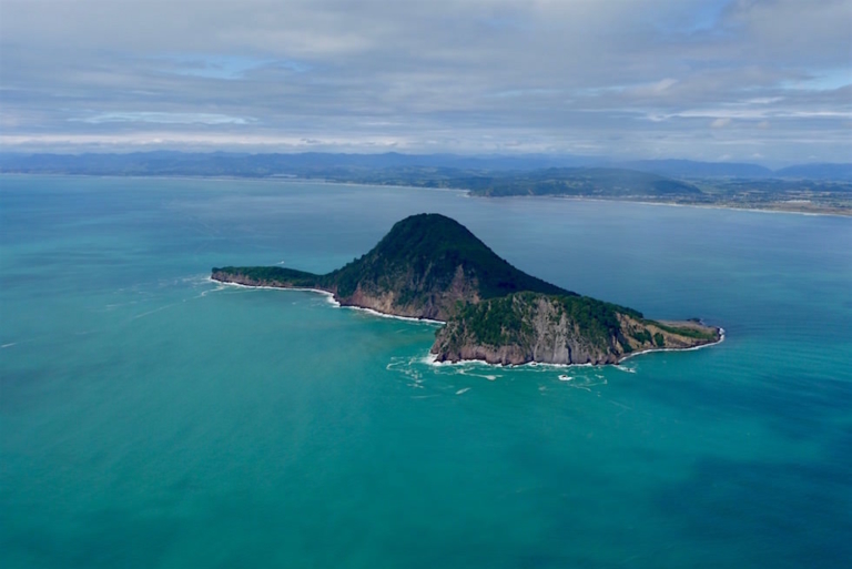 White Island & Whale Island - Faszinierender Rundflug zu Neuseelands ...