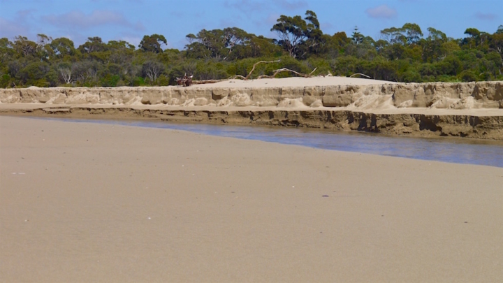 Bunurong Marine Park - Spektakuläre Felsformationen & faszinierendes ...