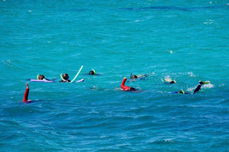 Schnorcheln mit Manta Rochen - Von der Faszination Riesenrochen hautnah ...