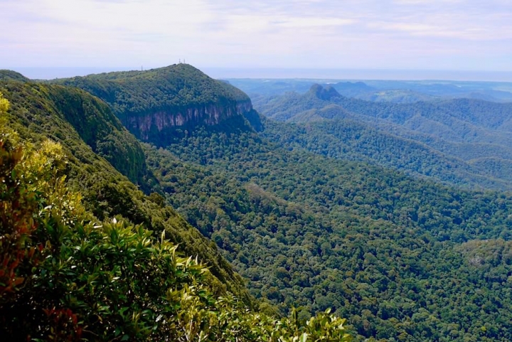 Springbrook National Park - Wasserfälle, Steilklippen & seine ...