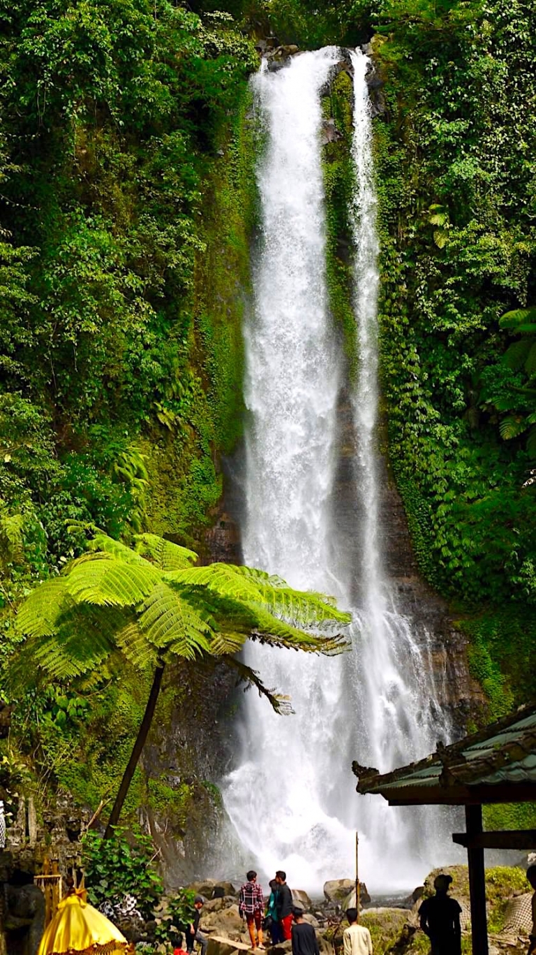 Mein schönstes Bali Erlebnis - Sightseeing-Tour von Ubud nach Lovina ...