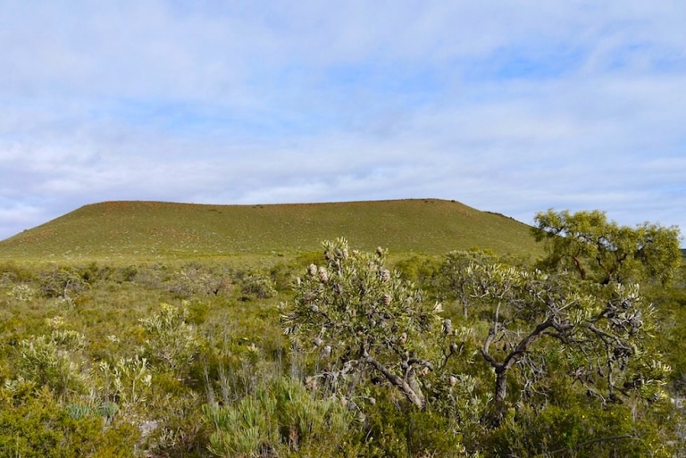 Mount Lesueur National Park - Ein Mekka für Wildblumen Liebhaber ...