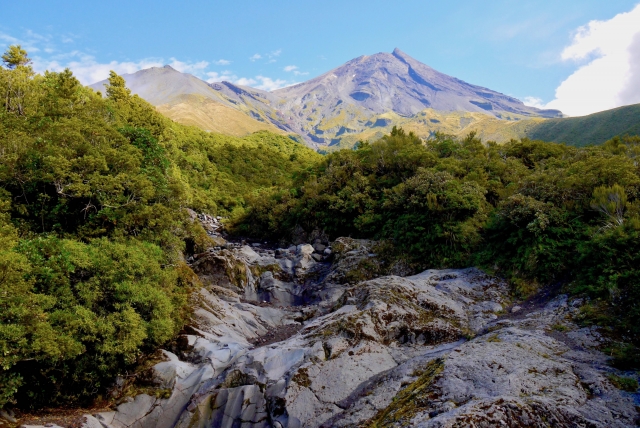 Faszination Egmont National Park: Mt Taranaki, Wilkies Pools, Dawson ...