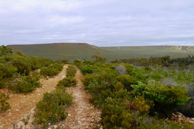 Mount Lesueur National Park - Ein Mekka für Wildblumen Liebhaber ...
