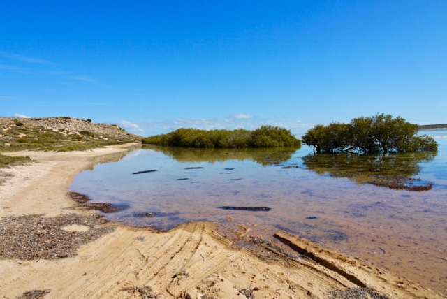 Shark Bay Highlights - Einzigartigkeit, Faszination & Zauber des ...