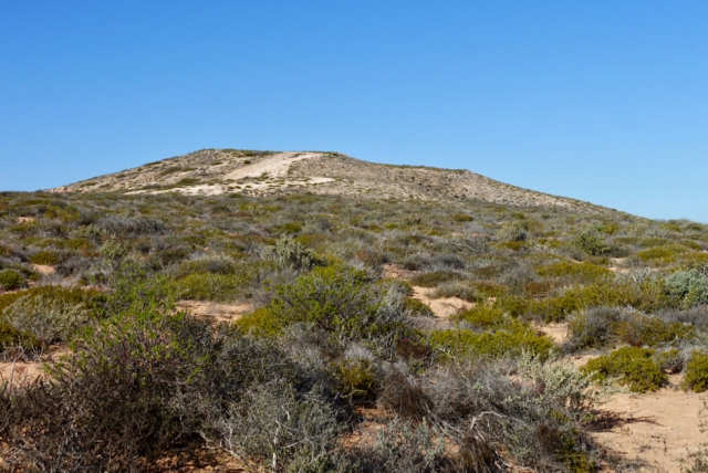 Shark Bay Highlights - Einzigartigkeit, Faszination & Zauber des ...