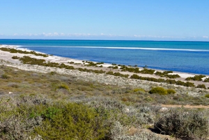 Shark Bay Highlights - Einzigartigkeit, Faszination & Zauber des ...