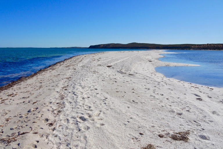 Shark Bay Highlights - Einzigartigkeit, Faszination & Zauber des ...