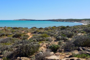 Shark Bay Highlights - Einzigartigkeit, Faszination & Zauber des ...