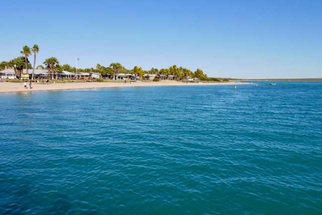 Shark Bay Highlights - Einzigartigkeit, Faszination & Zauber des ...