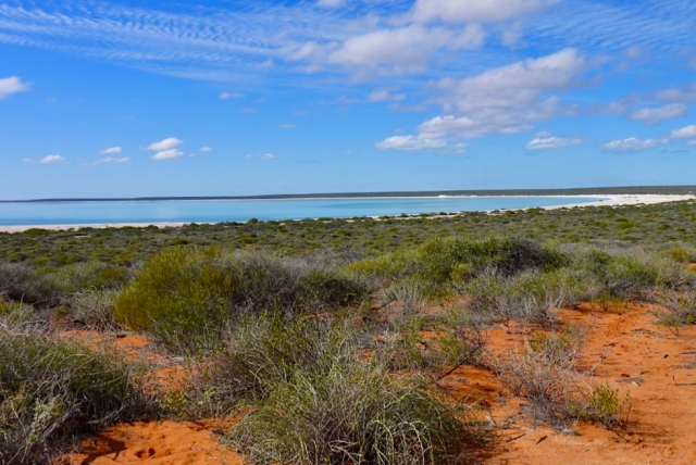 Shark Bay Highlights - Einzigartigkeit, Faszination & Zauber des ...