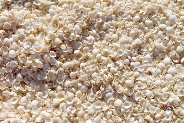 Shark Bay Highlights - Einzigartigkeit, Faszination & Zauber des ...