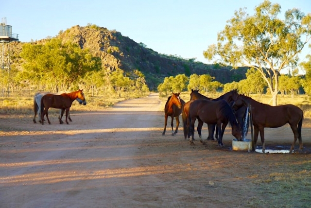 Faszinierende Mimbi Caves & Steiniger Weg einer Aboriginal Familie zum ...