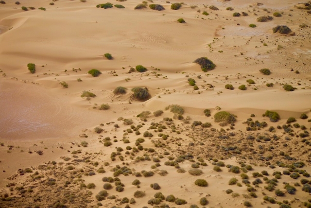 Lake Frome & Flinders Ranges Scenic Flight: Erlebe faszinierende ...