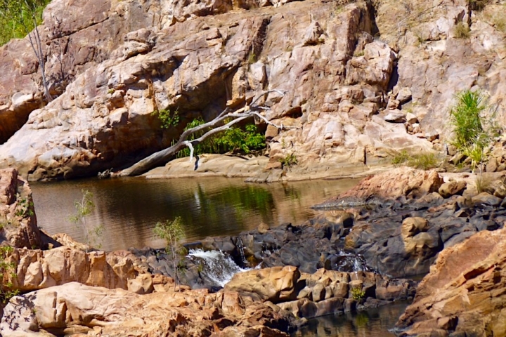 Edith Falls Leliyn - Herrliche Seen-Wasserfall-Idylle im Nitmiluk ...