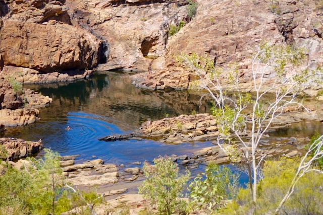 Edith Falls Leliyn - Herrliche Seen-Wasserfall-Idylle im Nitmiluk ...