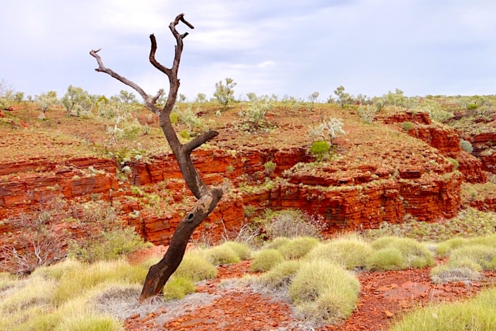 Karijini National Park - Spider Walk, Junction Pool, Handrail Pool ...