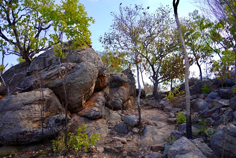 Edith Falls Leliyn - Herrliche Seen-Wasserfall-Idylle im Nitmiluk ...