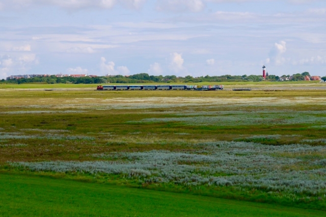Wangerooge - Teil 1: Quirliger Westen: Westturm, Salzwiesen ...