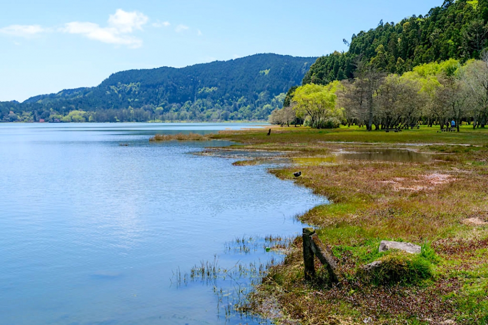 Furnas & Lagoa das Furnas: Beste Aussichtspunkte & faszinierende ...