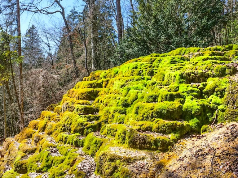Sinterterrassen Hoher Brunnen & Steinerne Rinne - Altmühltal Wanderung ...