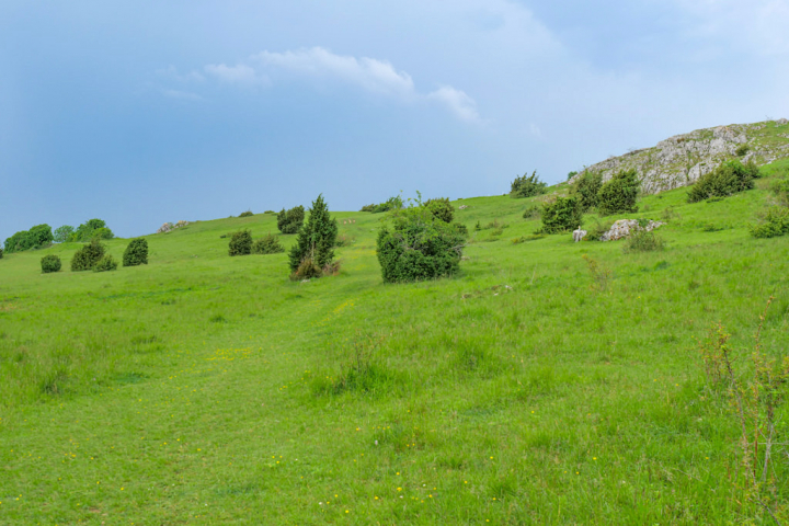 Schäferweg - Schönste Wanderung, beste Rieskrater-Einblicke - Passenger ...